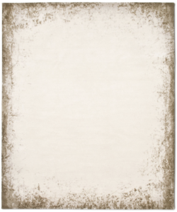 Modern Border Khaki – Salari Fine Carpet Collections